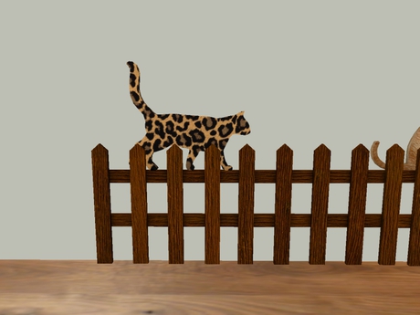 Second Life Marketplace - ~ECC~ Cat Fence Mod Copy no trans