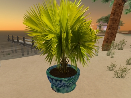 Second Life Marketplace - Palm potted