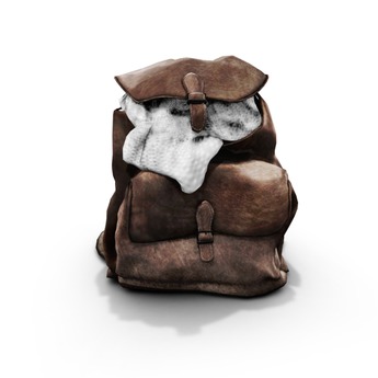 Second Life Marketplace - storybook living . old backpack . boxed