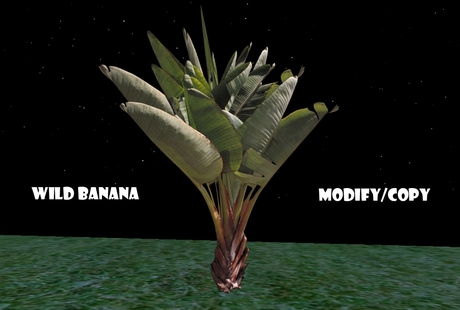 Second Life Marketplace - Wild Banana