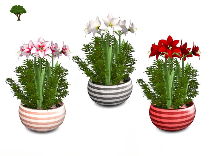 Second Life Marketplace - ~ xantes ~ Mesh Amaryllis Pot Amelia (wear to ...