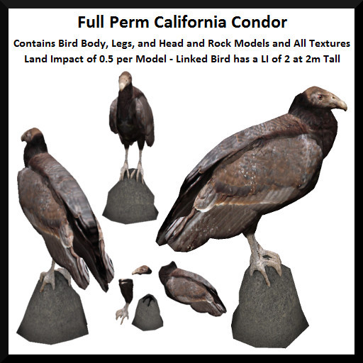 Second Life Marketplace - Full Perm California Condor