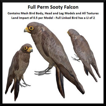 Second Life Marketplace - Full Perm Sooty Falcon