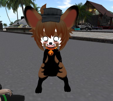 Second Life Marketplace - *DurpButt* Chibi Furry - Mesh Avatar