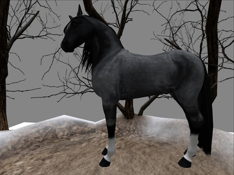 Second Life Marketplace - Teegle Horse Texture Mod-Blue Roan