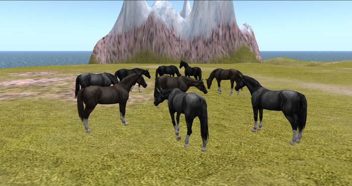 Second Life Marketplace - Horse Pack Full Perm