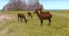 Second Life Marketplace - Deer Pack Full Perm