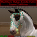 Second Life Marketplace - [BTS-TH-Andy] Turquoise Criollo Halter (boxed)