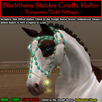 Second Life Marketplace - [BTS-TH-Andy] Turquoise Criollo Halter (boxed)