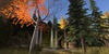 Second Life Marketplace - ChillArt_Paramour4