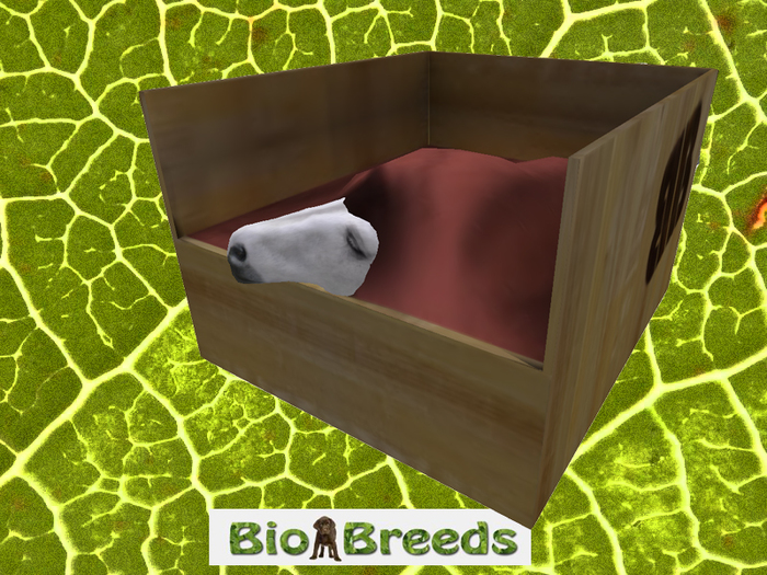 Second Life Marketplace - BB Exotic Box Female
