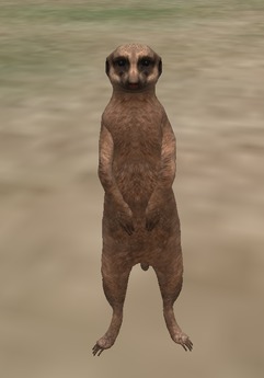 Second Life Marketplace - Meerkat Suricata mesh avatar