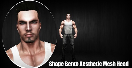Second Life Marketplace - Shape for Aesthetic Bento Head
