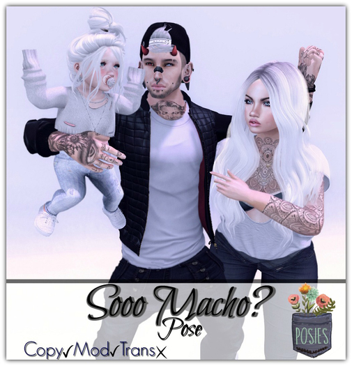 Second Life Marketplace - Posies-Sooo Macho Pose(ADD)