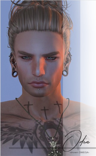 Second Life Marketplace - 7 Deadly s{K}ins - Odin CATWA face + shape DEMO