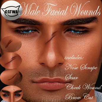 Second Life Marketplace - CATWA MALE FACIAL WOUND COLLECTION