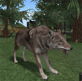 Second Life Marketplace - Medhue MEGA Wolf - Bento