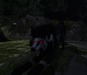 Second Life Marketplace - HellHound Mod for TWI Mesh Wolf