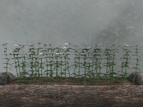 Second Life Marketplace - !Moril Creations! Log planter Daisies flowers 1