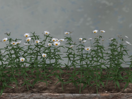 Second Life Marketplace - !Moril Creations! Log planter Daisies flowers 1