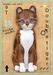 Second Life Marketplace - KittyCatS Box -♂ Double tiger American ...