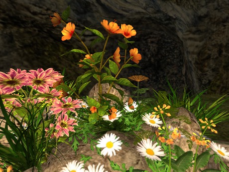 Second Life Marketplace - MSD - Rock Garden - 2 Hibiscus (13 LI) C/M