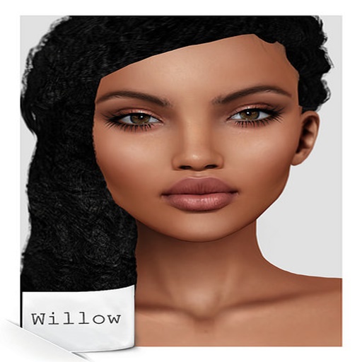 Second Life Marketplace - [ ] RDKL [ ] New Faces - Willow