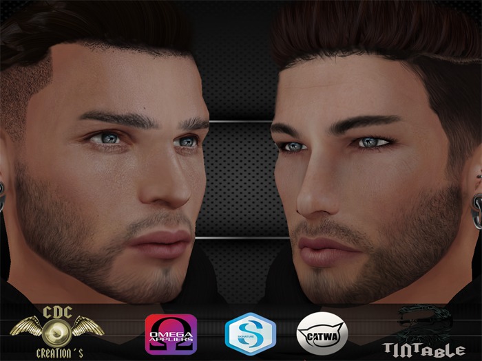 Second Life Marketplace - .::CDC Beard 44 Tintable Sig/Catwa/Omega ...
