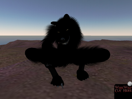 Second Life Marketplace - Werewolf - Female (box)