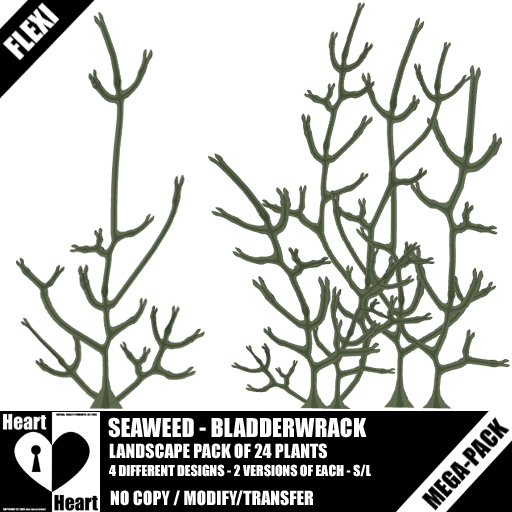 Second Life Marketplace - Seaweed - Bladderwrack