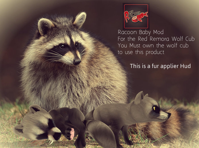 Second Life Marketplace - Red Remora skin Baby Raccoon Mod