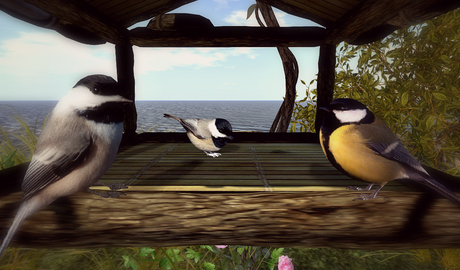 Second Life Marketplace - CJ Bird House with Sound + Cats ~ c + m