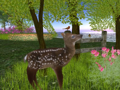 Second Life Marketplace - Spring Garden with fawn:)