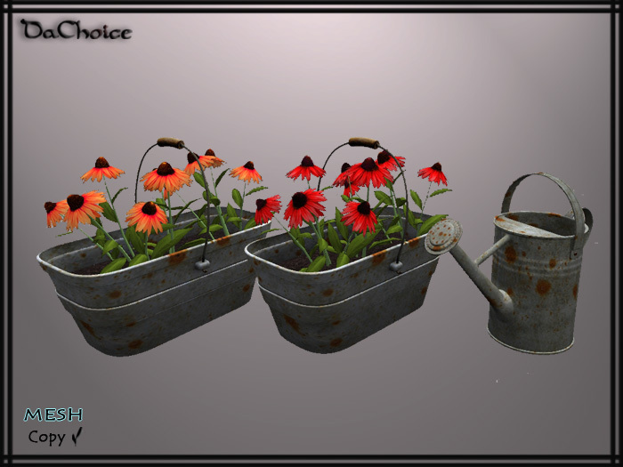 Second Life Marketplace - *DaChoice*-Black Eyed Susan in Zink pot ...