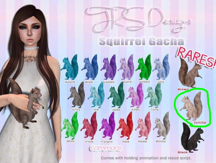Second Life Marketplace - Squirrel Rare Tortilla Rare