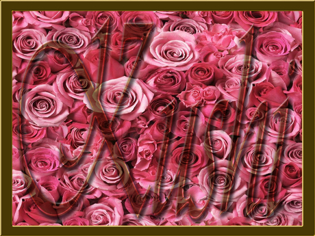 Second Life Marketplace - Flower Wall #14 Textures (also known as "Dior ...