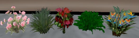 Second Life Marketplace - Tropical Sublime Arrangement