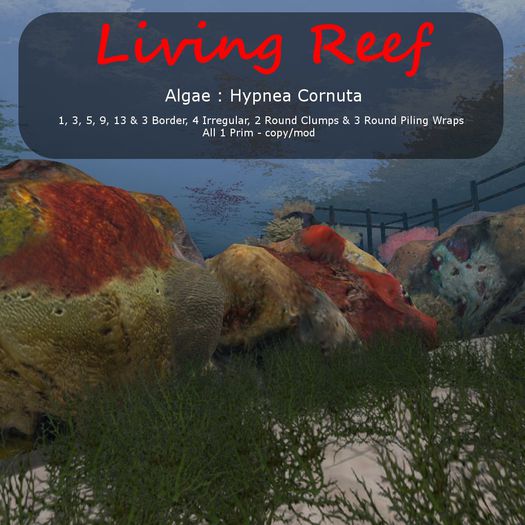 Second Life Marketplace - Inochi Reef : Algae "Hypnea Cornuta"