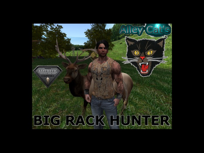 Second Life Marketplace - Alley Cat's BIG RACK HUNTER Niramyth ...