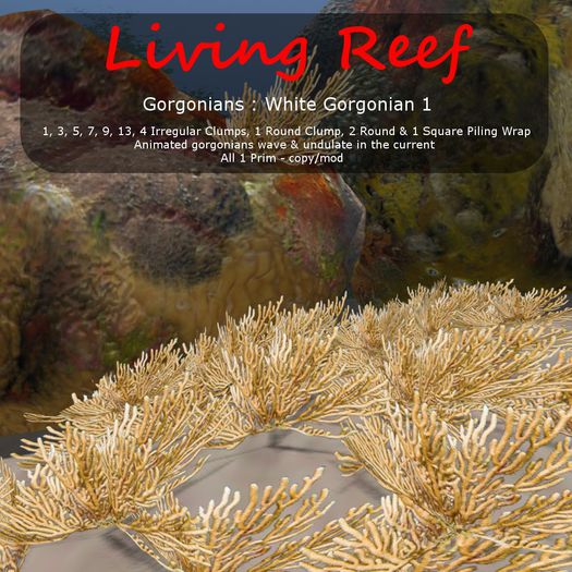 Second Life Marketplace - Inochi Reef : Gorgonians - White Gorgonian 1