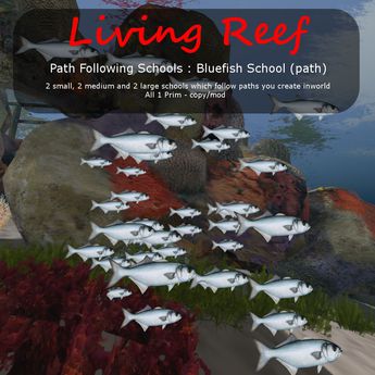 Second Life Marketplace - Inochi Reef : Path Following Schools - Bluefish
