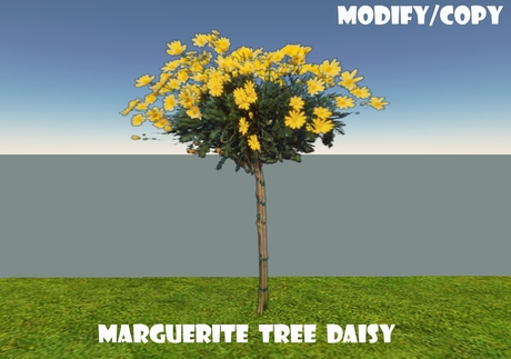 Second Life Marketplace - Marguerite Tree Daisy (Flexi)