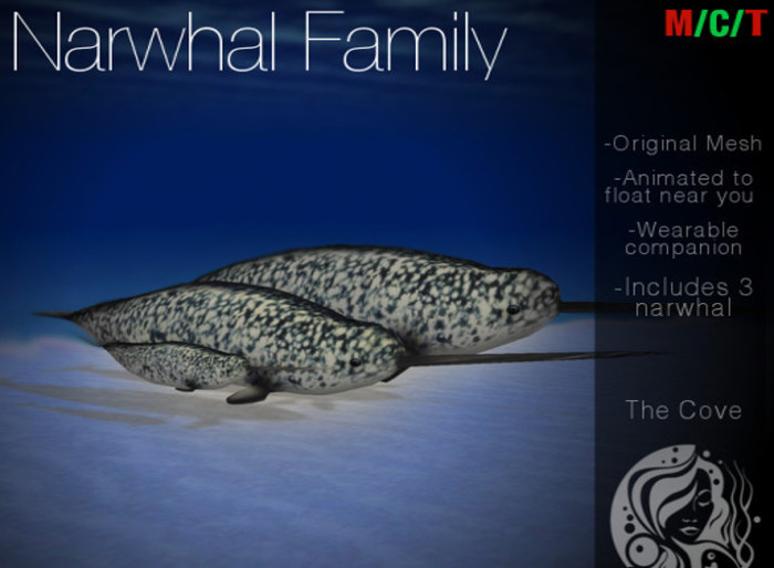 Second Life Marketplace - *The Cove* Narwhal Family