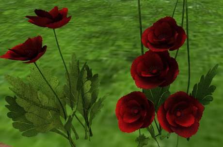 Second Life Marketplace - FA - Poppy Patch