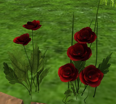 Second Life Marketplace - FA - Poppy Patch