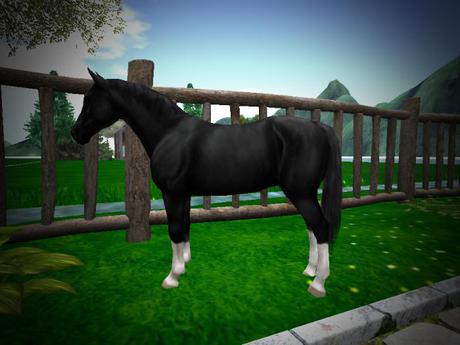 Second Life Marketplace - * PROMO * 3 ANIMATED HORSES WITH RESIZER & SOUNDS
