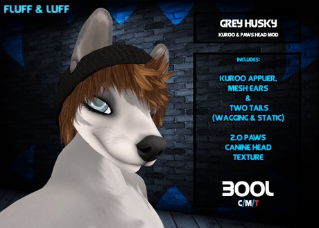 Second Life Marketplace - F&L - Grey Husky - Kuroo Mod