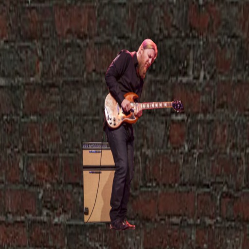 Second Life Marketplace - Derrick Trucks Wall Art