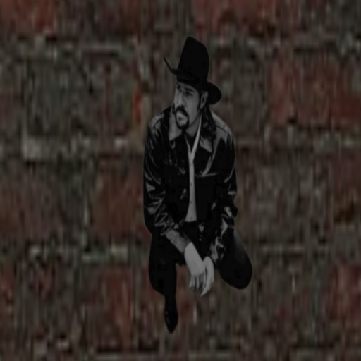 Second Life Marketplace - Toby Keith Wall Art