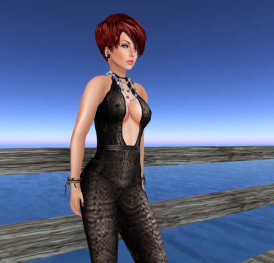 Second Life Marketplace Leather Bodysuit Brown